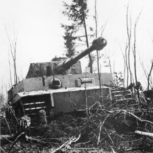 Otto Carius & Tiger-Panzer der Wehrmacht | Frag Machiavelli